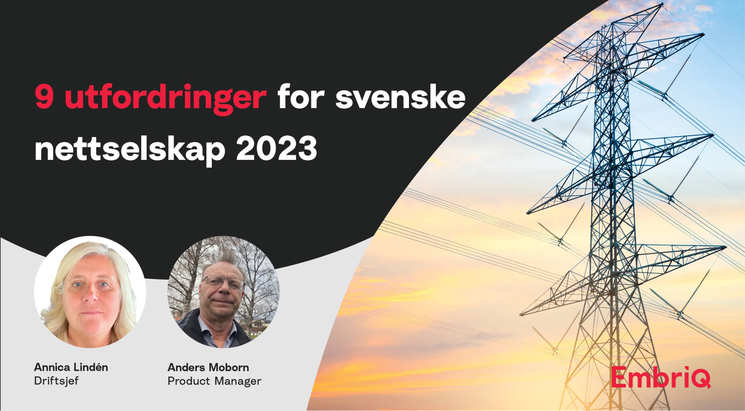 9 utfordringer for svenske nettselskap i 2023 | Embriq